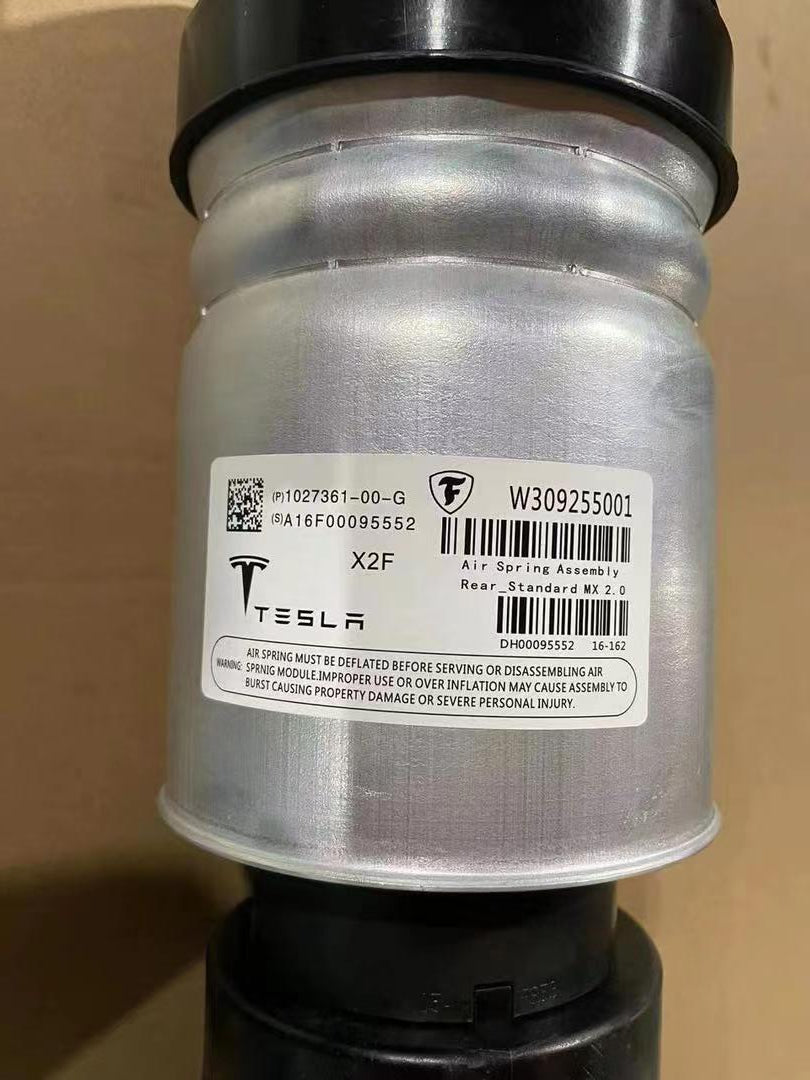 OE Tesla Model X 2016-2022 Air Suspension Shock Struts – CarGym