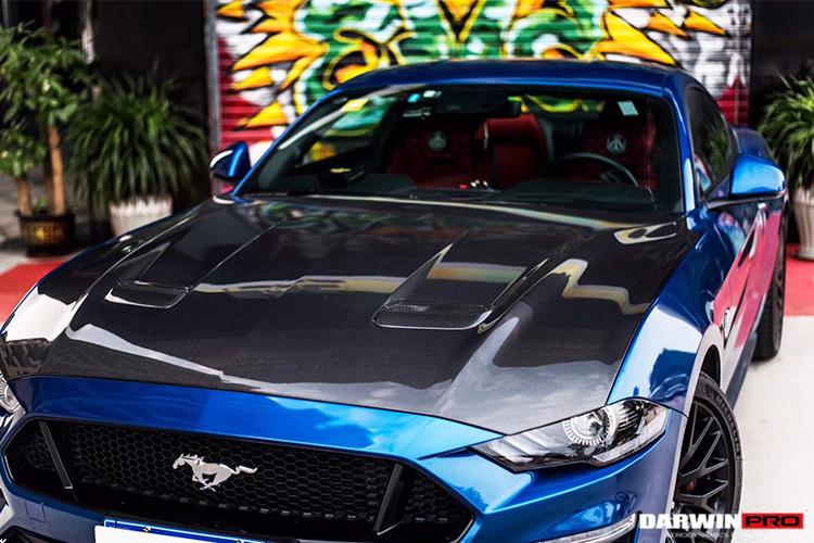 Darwinpro 2018-2020 Ford Mustang Carbon Fiber Hood – CarGym